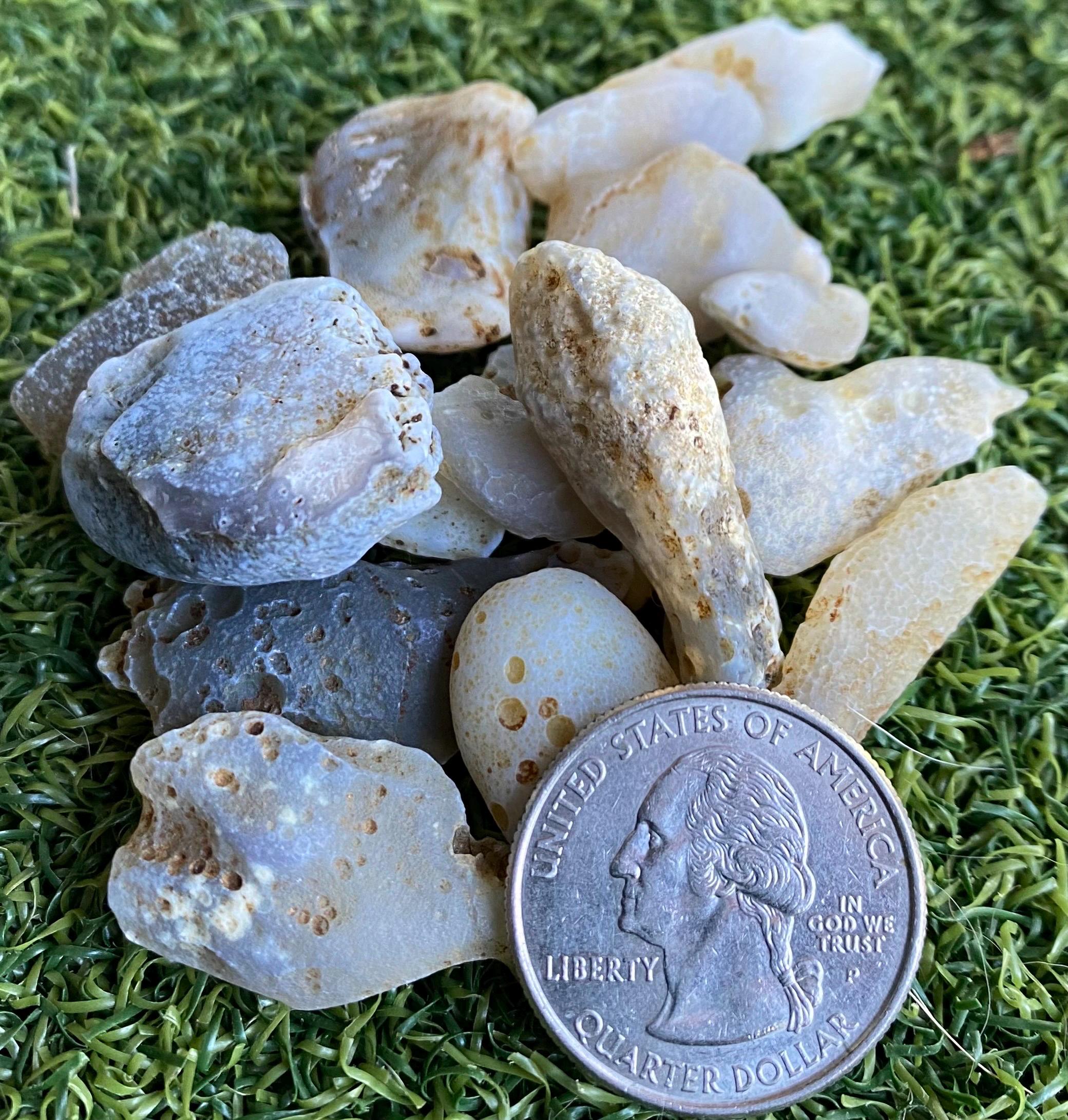 15 Ellensburg Agate Nodules Raw - Etsy