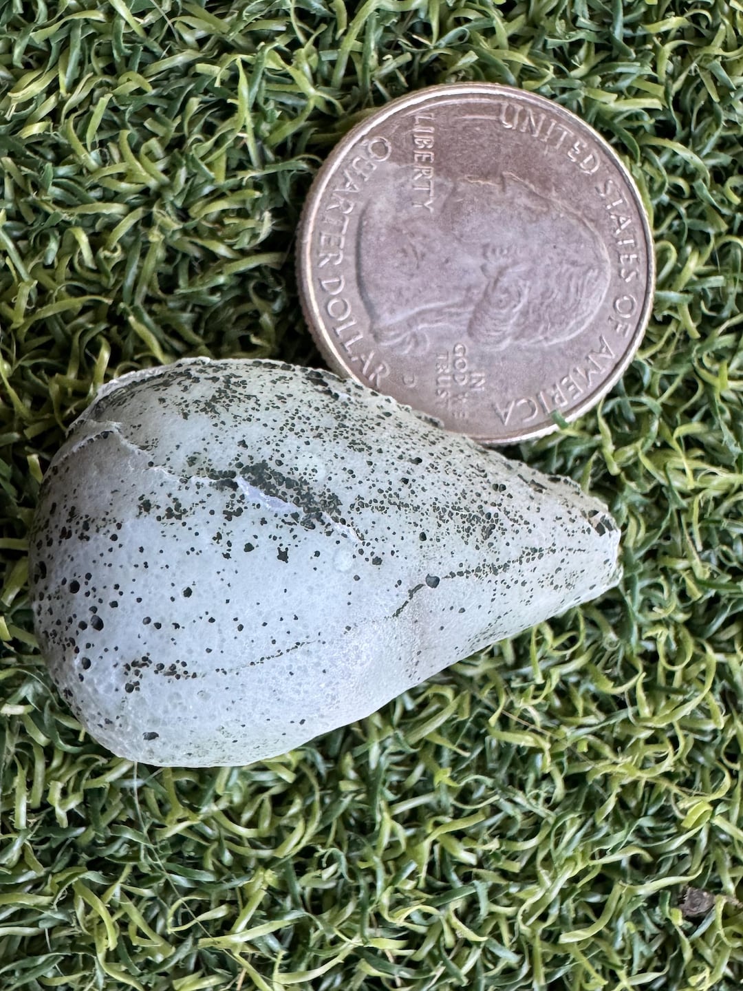Raw Ellensburg Blue Agate Nodule, Natural Tear Shape - Etsy