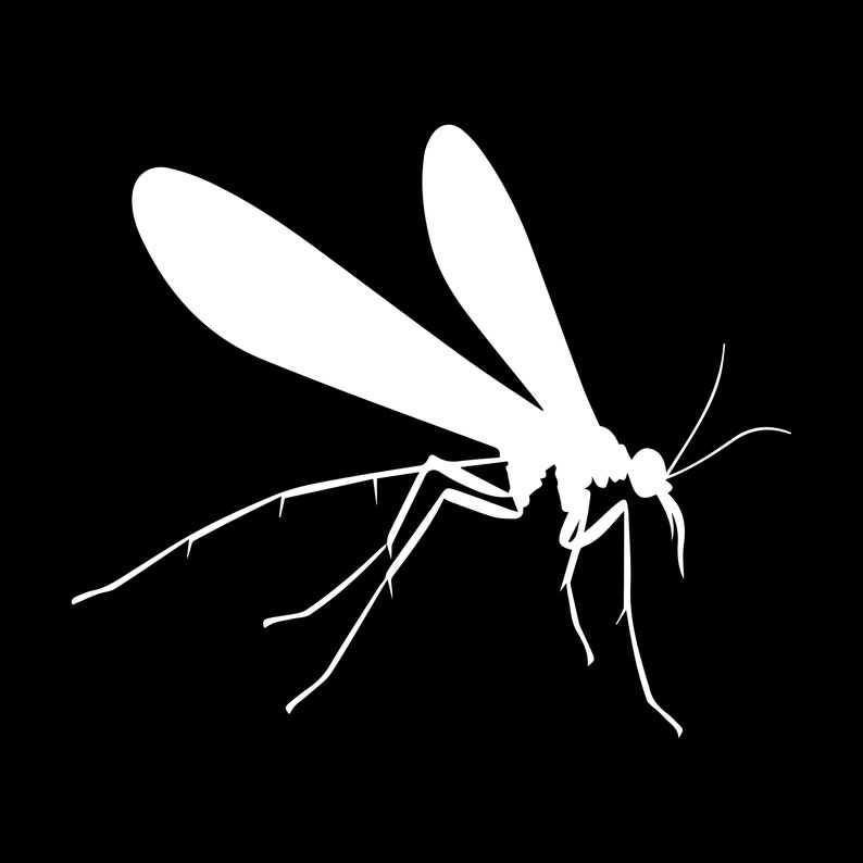 Bugs & Insects Digital Downloads 12 High Contrast / Black and White ...