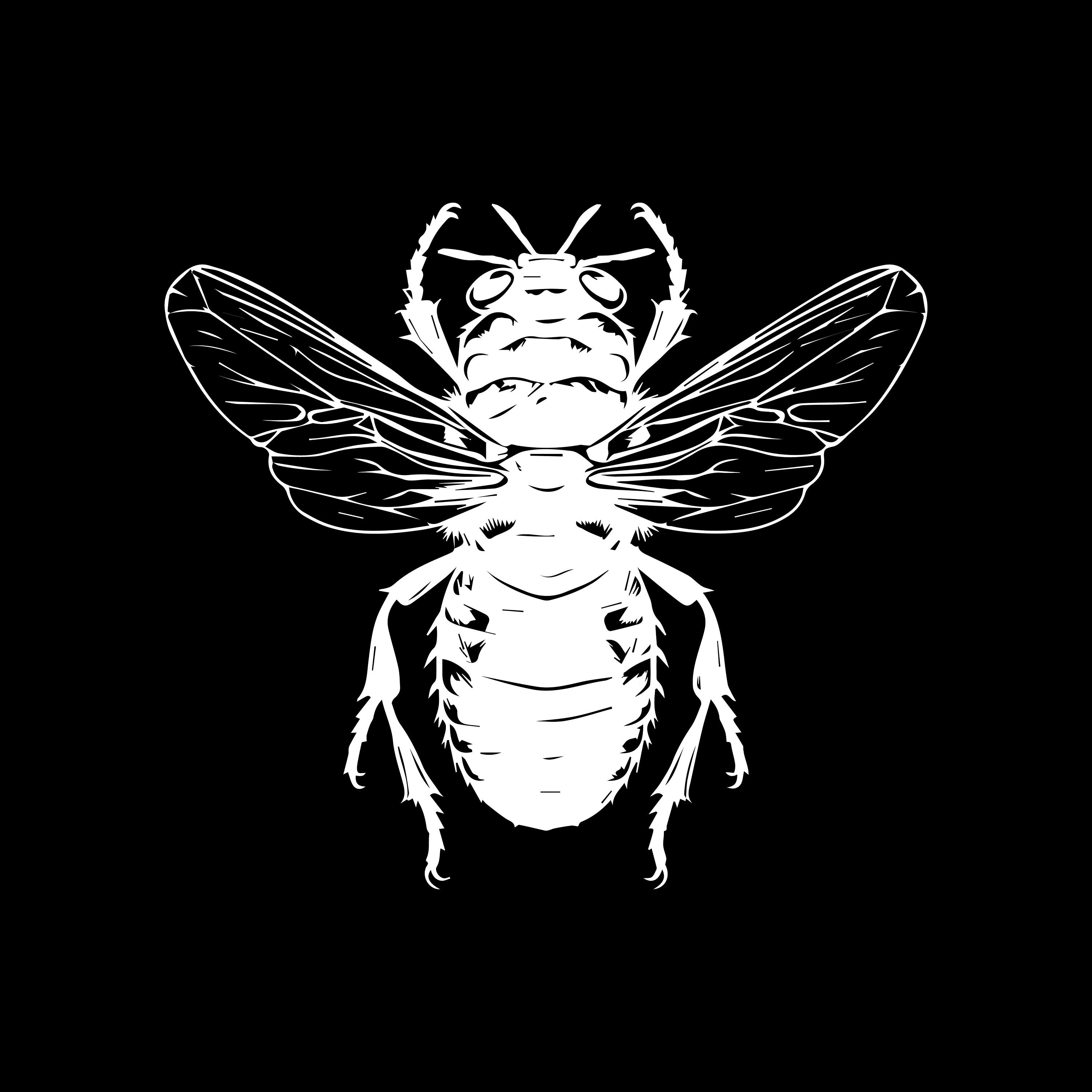 Bugs & Insects Digital Downloads - 12 High Contrast / Black and White ...