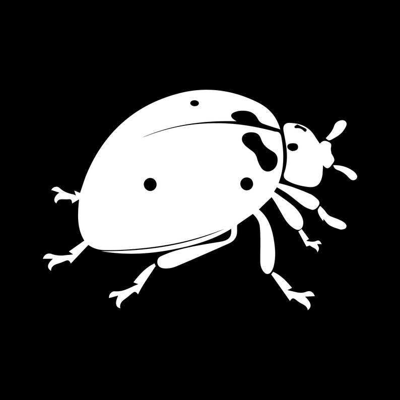 Bugs & Insects Digital Downloads 12 High Contrast / Black and White ...