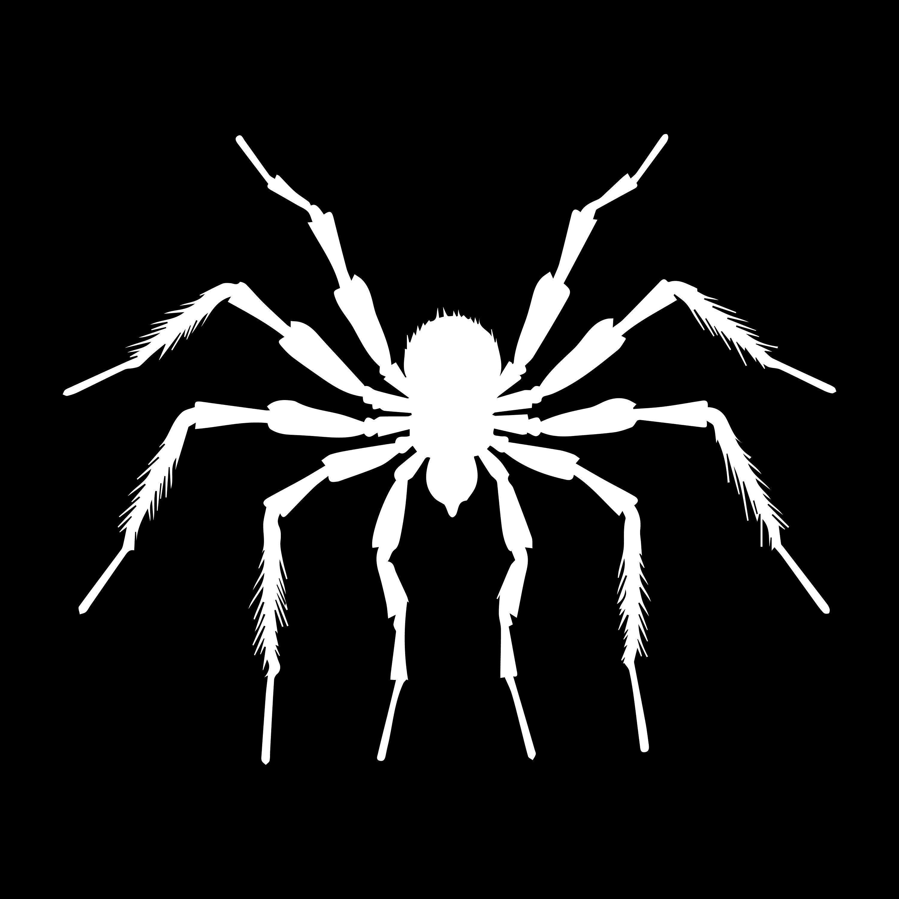 Bugs & Insects Digital Downloads - 12 High Contrast / Black and White ...