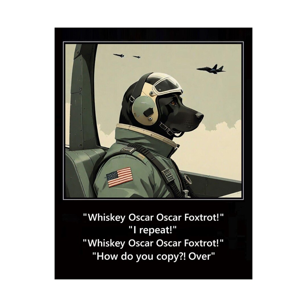 Black Lab Fighter Pilot Print: Retro Aviation Art, Wes Anderson Style ...