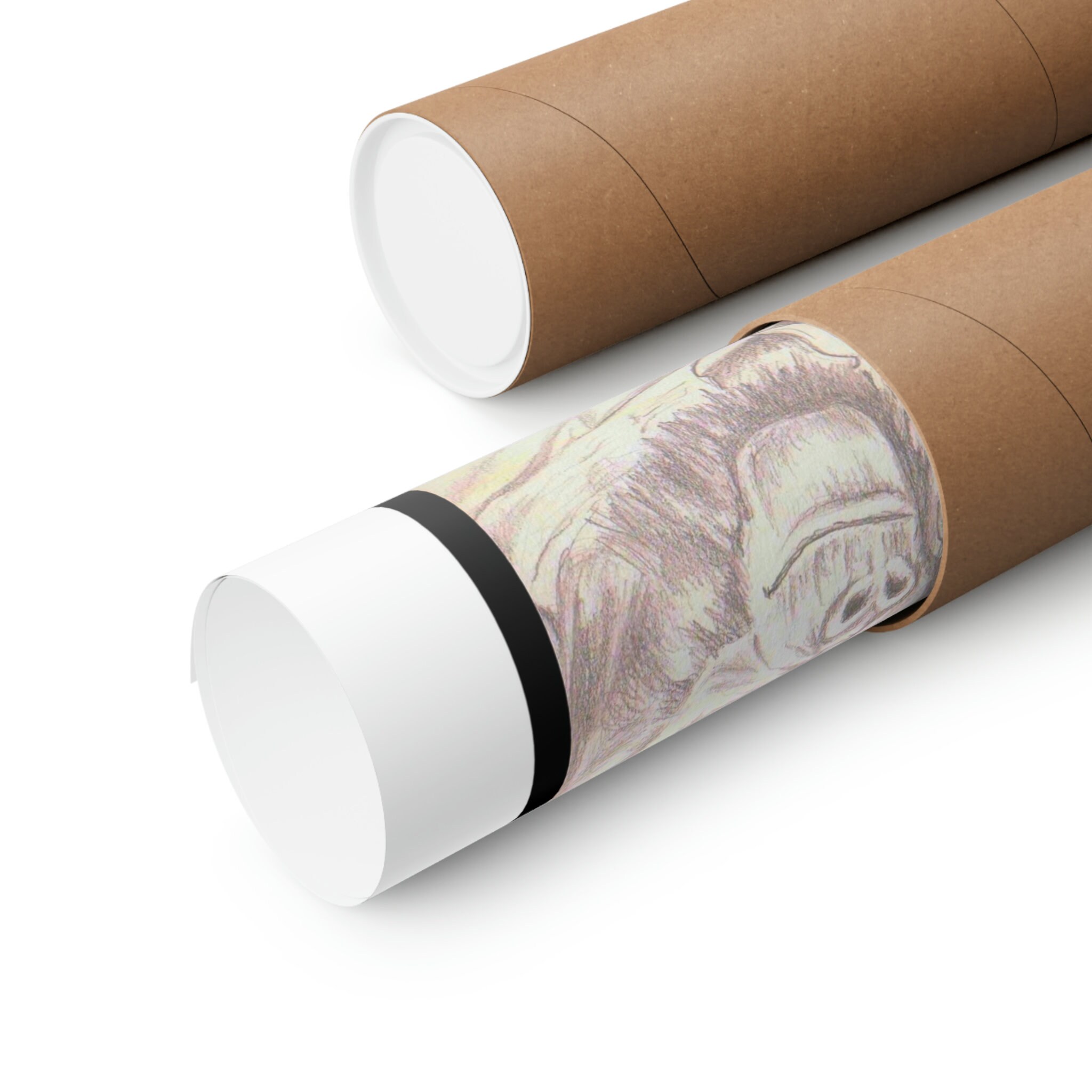 Solshifter Gig Apr. 23, 2022 Baboon Premium Matte Poster Ape Planet a ...