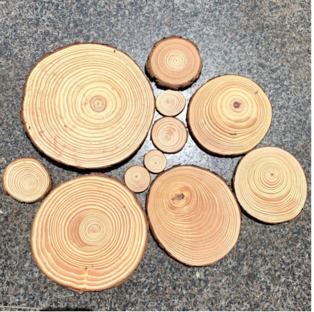 Natural Pine Round Unfinished Wood Slices Circles With Tree Bark Log ...