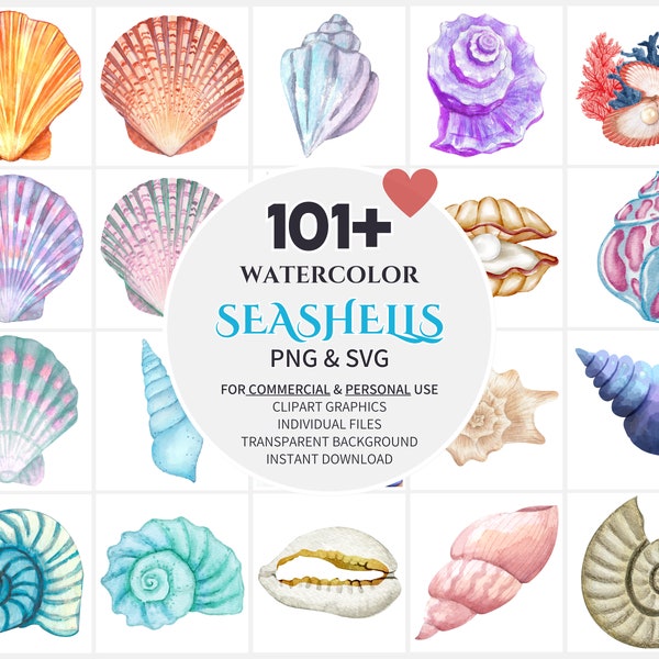 Watercolor Shell - Etsy