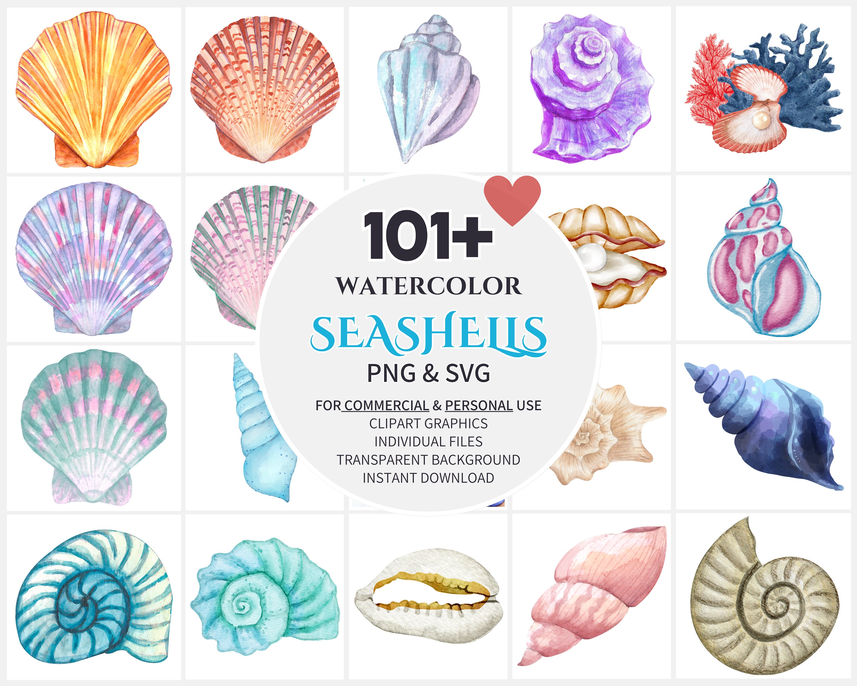 Watercolor Seashells Clipart Bundle - Digital SVG & PNG Graphics for ...