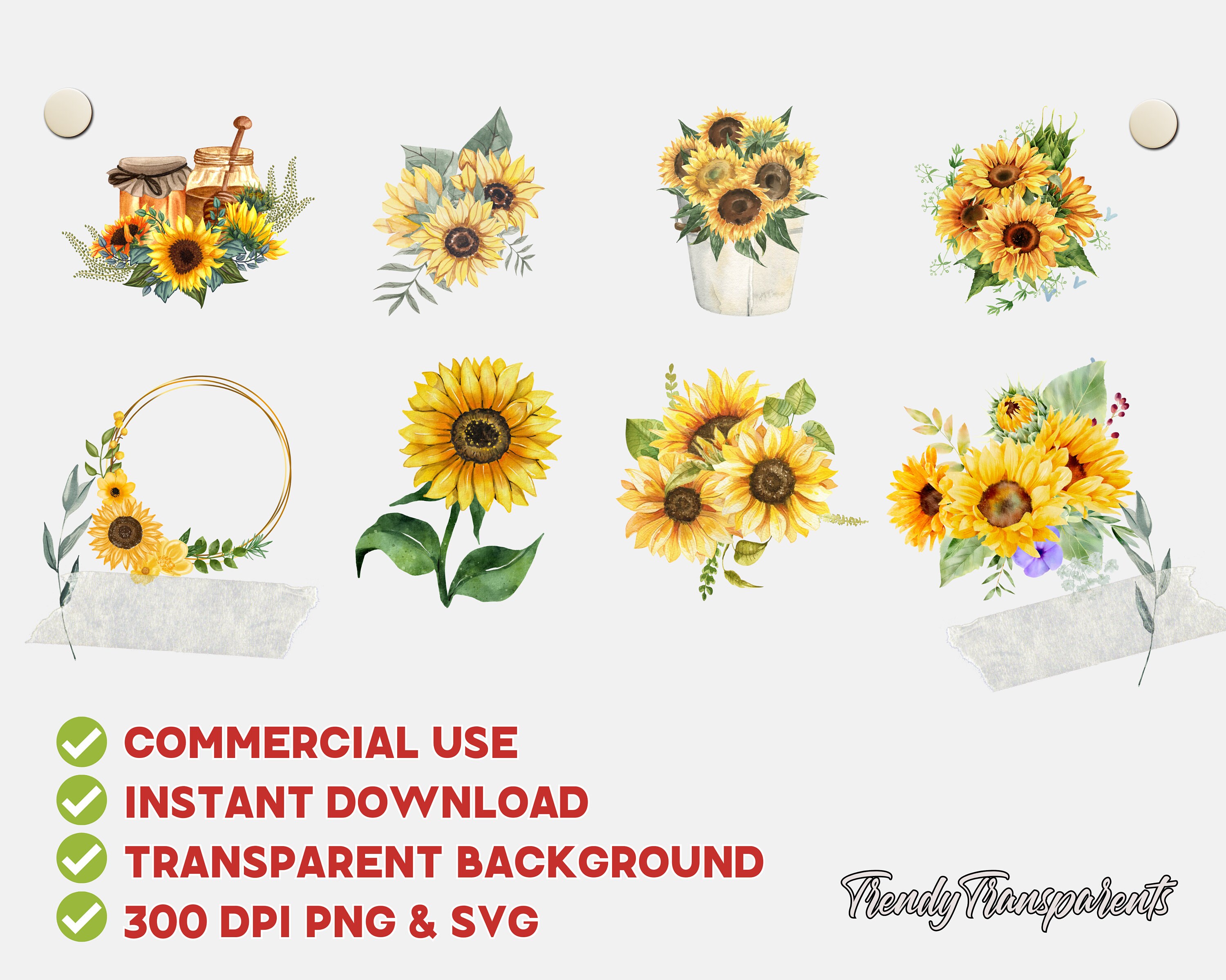 Watercolor Sunflowers Clipart Bundle Digital SVG & PNG - Etsy