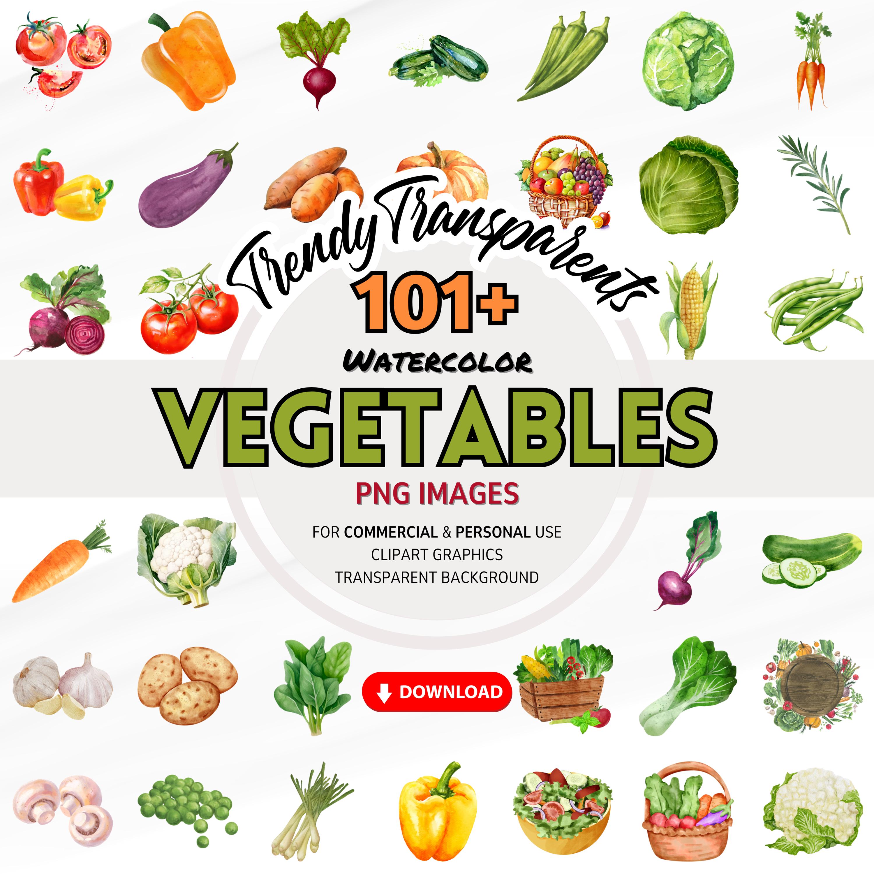 Watercolor Vegetables Clipart Bundle Digital PNG Graphics for Instant ...