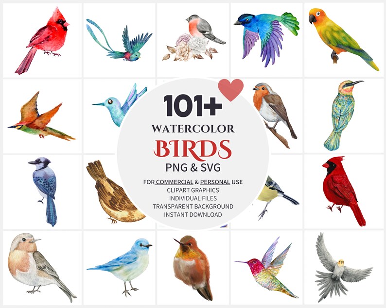 Watercolor Birds Clipart Bundle Digital SVG & PNG Graphics - Etsy