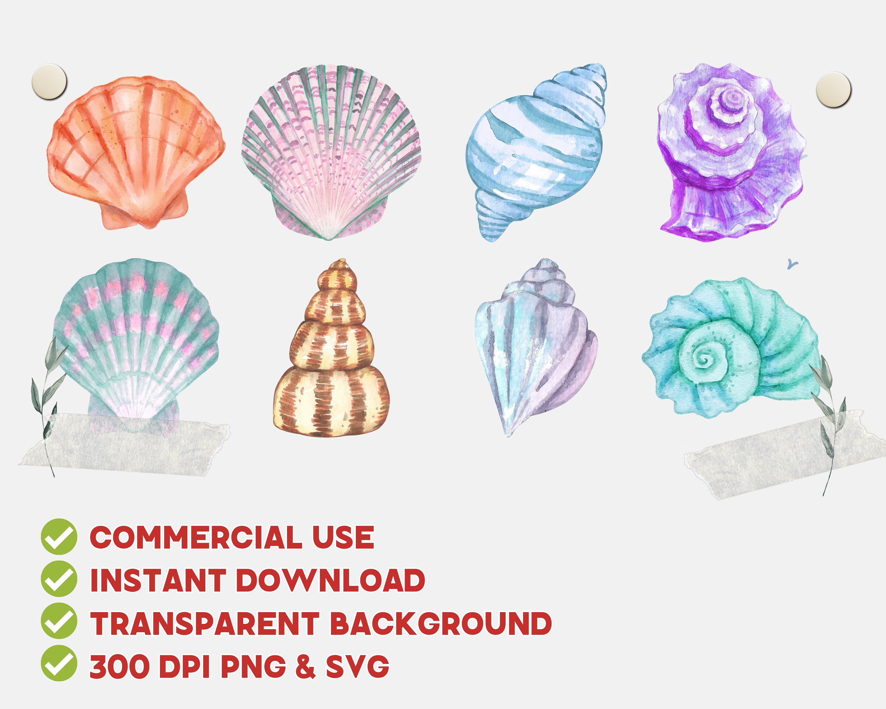 Watercolor Seashells Clipart Bundle - Digital SVG & PNG Graphics for ...