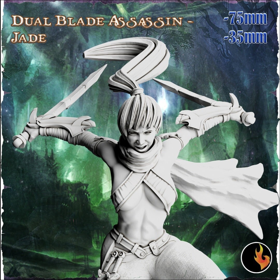 Jade Dual Blade Assassin Human Female 8K D&d/pathfinder 32mm 75mm ...