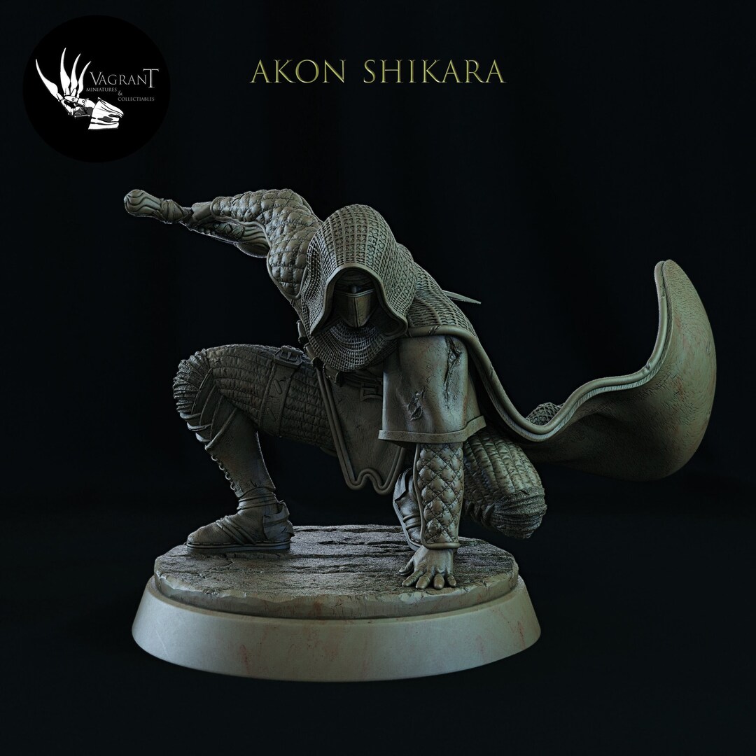 Akon Shikara Male Assassin Rogue 8K D&d/pathfinder 32mm 75mm 100mm ...