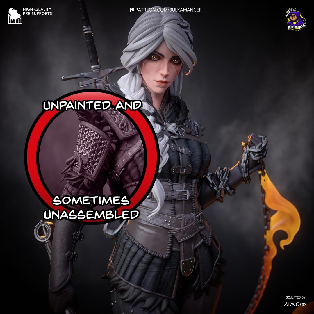 Ciri Stylized the Witcher Video Games Books 8K D&d/pathfinder 75mm 1 ...