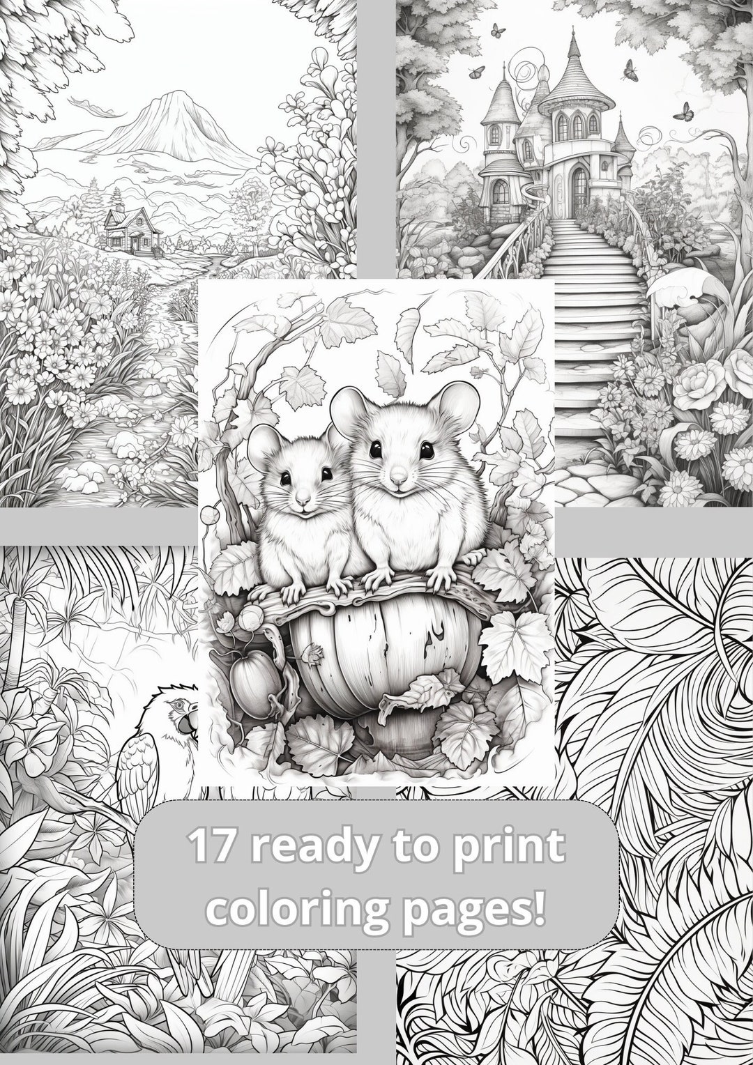 Coloring Pages Bundle, 17 Pages, Printable Coloring Sheets, Nature ...