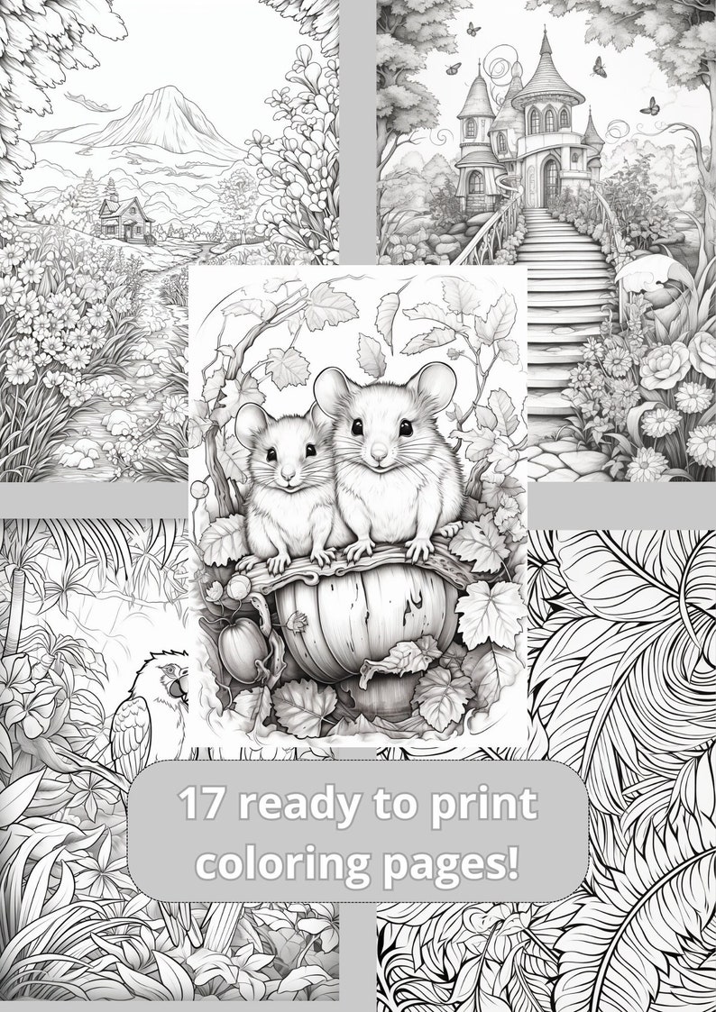 Coloring Pages Bundle 17 Pages Printable Coloring Sheets - Etsy