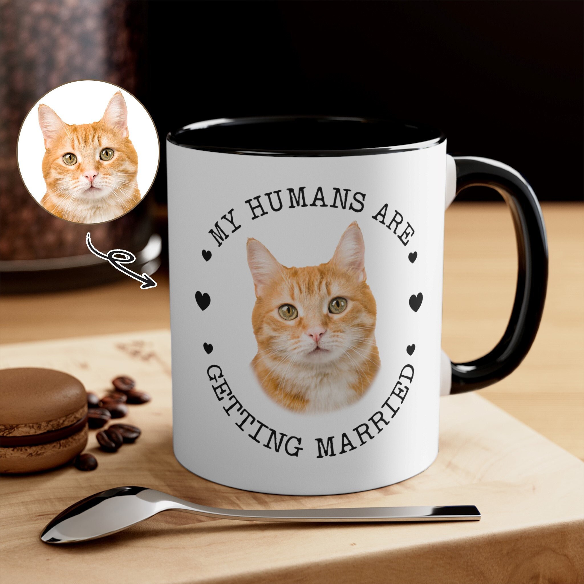 Real Cats Getting Married