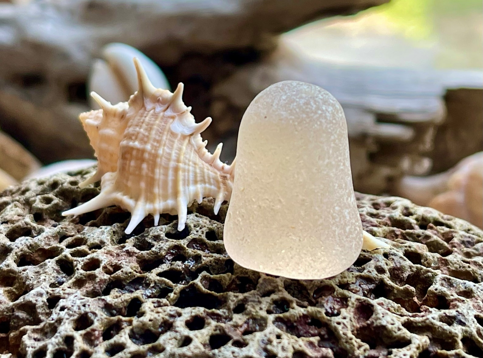 Натуральное морское стекло B364 - Etsy