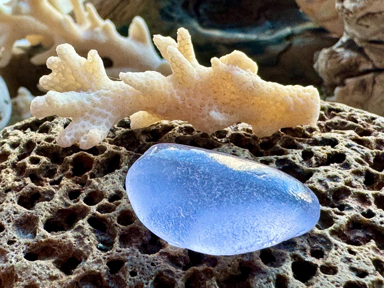 Genuine Sea Glass B2292 - Etsy