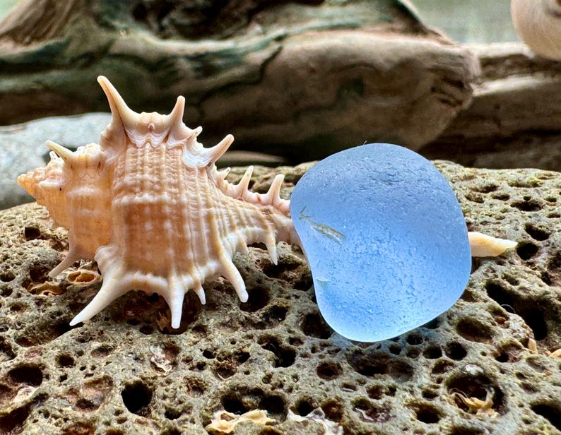 Genuine Sea Glass B2106 Cornflower Color - Etsy