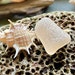 Натуральное морское стекло B364 - Etsy