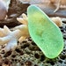 Genuine Sea Glass B1003 - Etsy