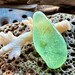 Genuine Sea Glass B1003 - Etsy