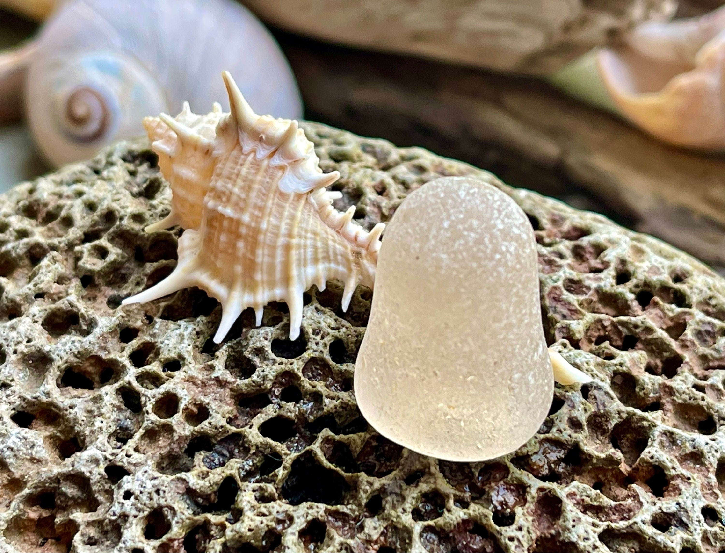 Натуральное морское стекло B364 - Etsy