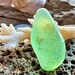 Genuine Sea Glass B1003 - Etsy