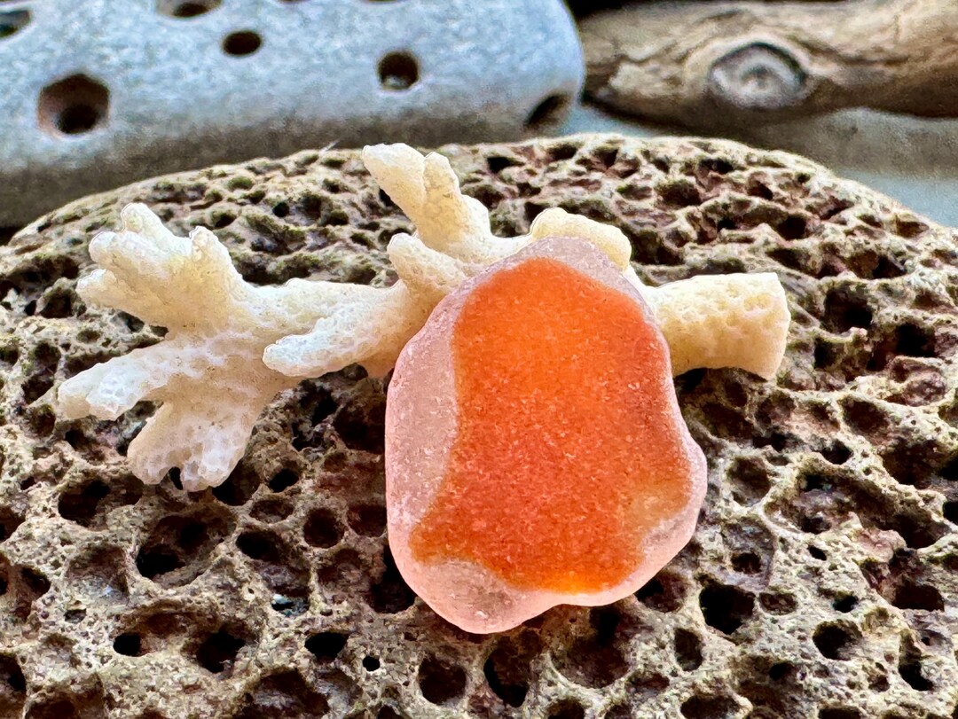 Genuine Sea Glass B2548 Red Sea Glass Orange Sea Glass - Etsy