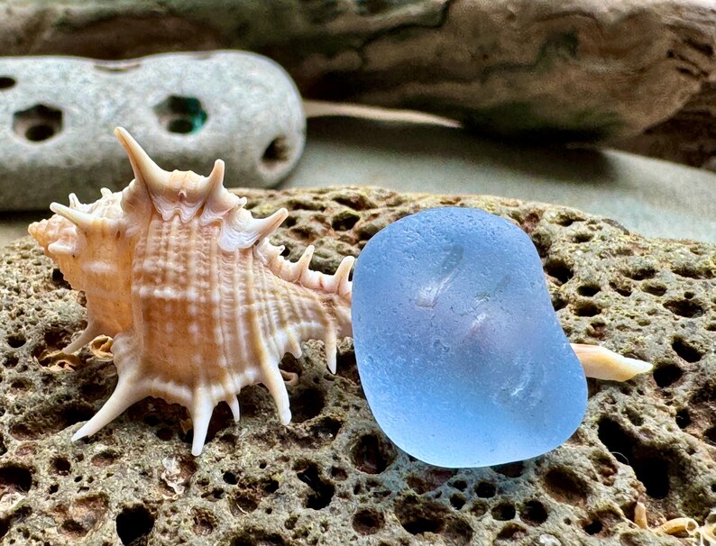 Genuine Sea Glass B2106 Cornflower Color - Etsy
