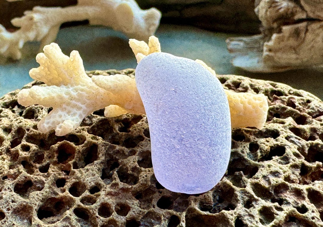 Genuine Sea Glass B2292 - Etsy