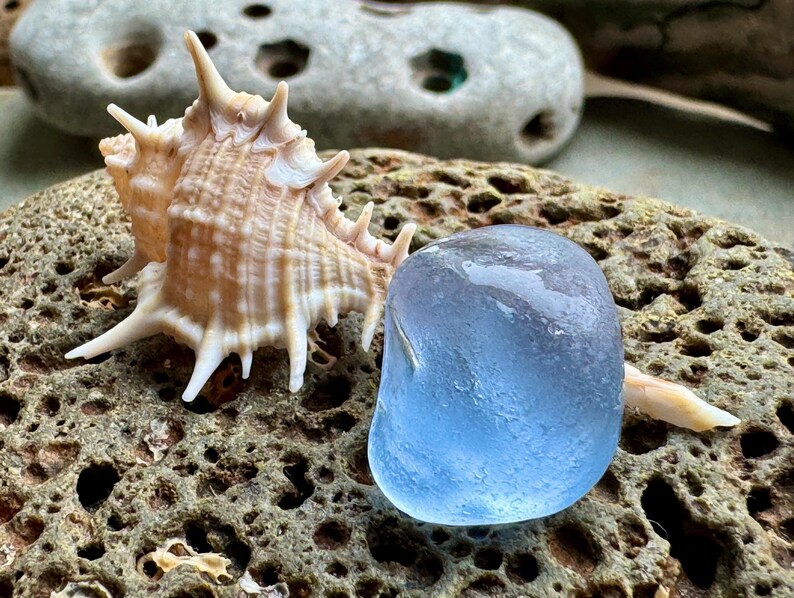 Genuine Sea Glass B2106 Cornflower Color - Etsy