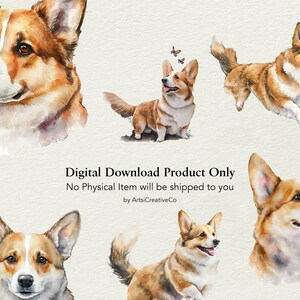 Corgi Dog Clipart PNG Bundle, Watercolor Dog Clipart Portrait, Prints ...