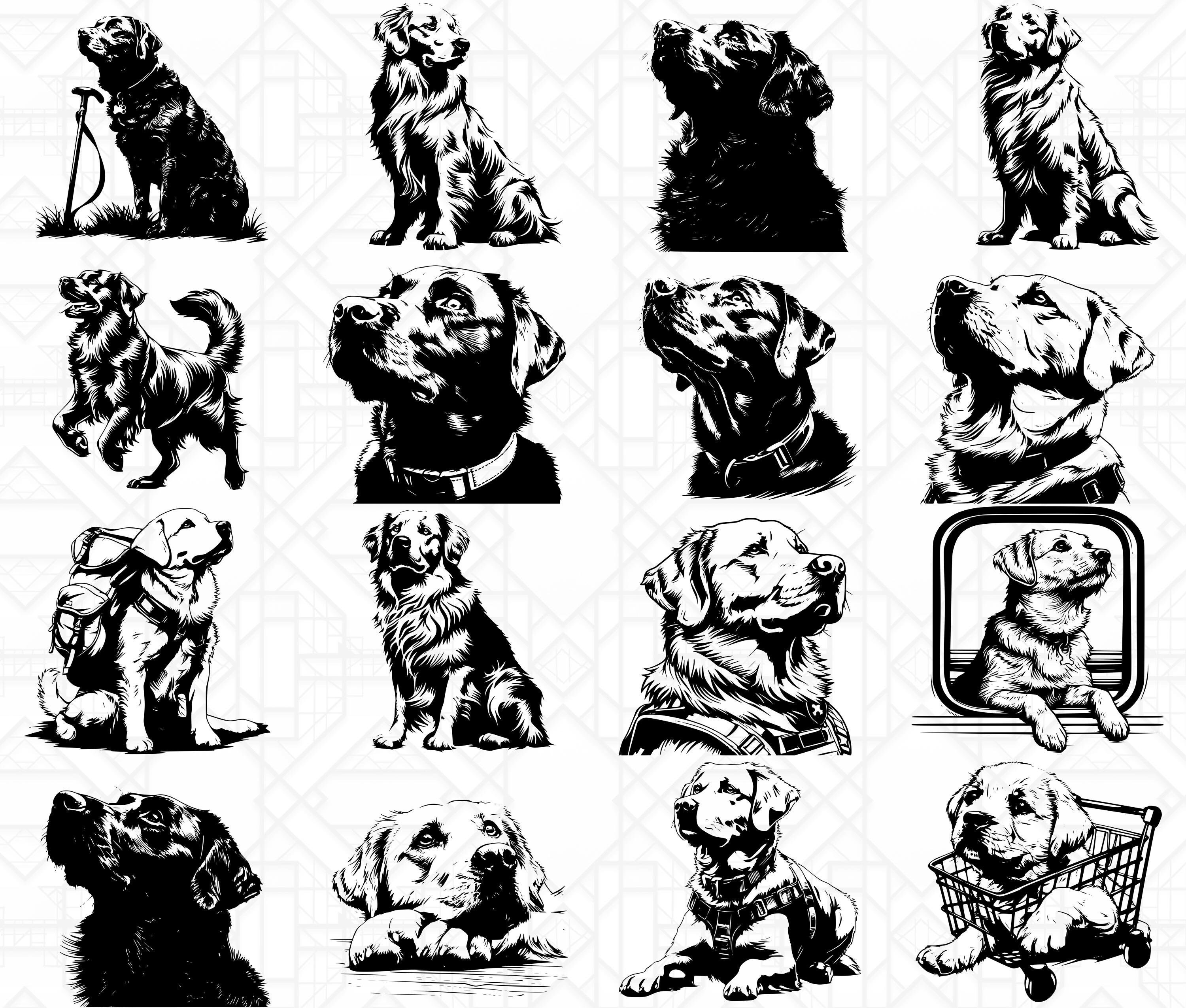 Service Dogs SVG Bundle - 48 Dog Vector Illustrations for Cricut ...