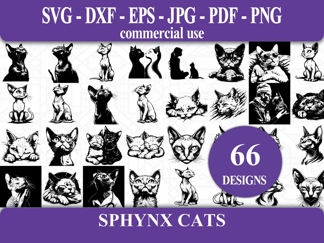 Sphynx Cats SVG Bundle - 66 Kitten Vector Illustrations for Cricut ...