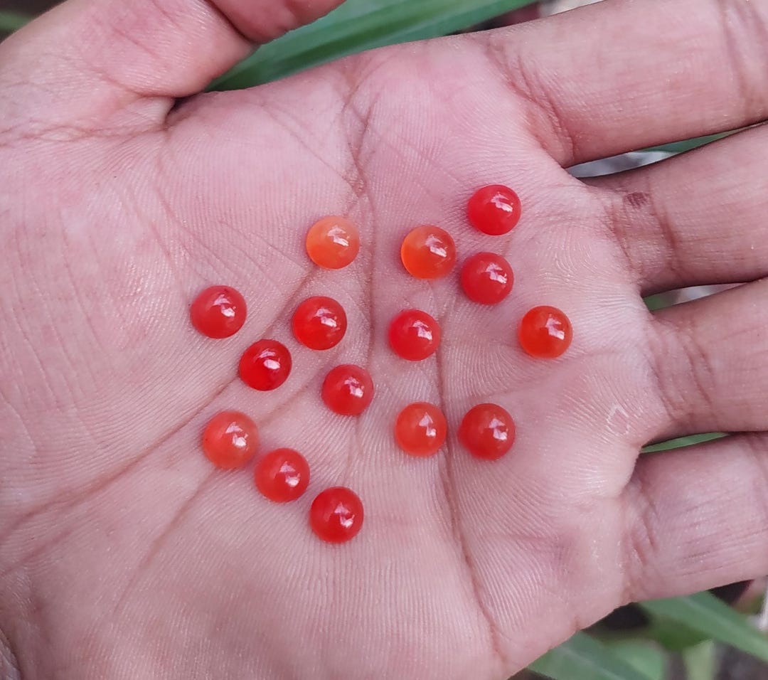 CAROLINE '''' Caroline Dyed Chacker Cut-caroline Onyx Chalcy Chacker ...