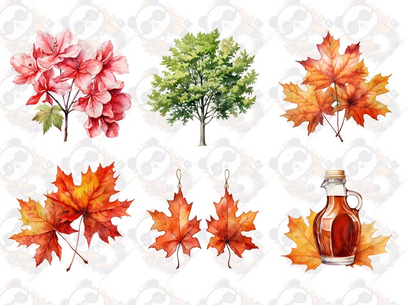 Watercolor Maple Clipart Clipart Bundle of Maple Trees and - Etsy