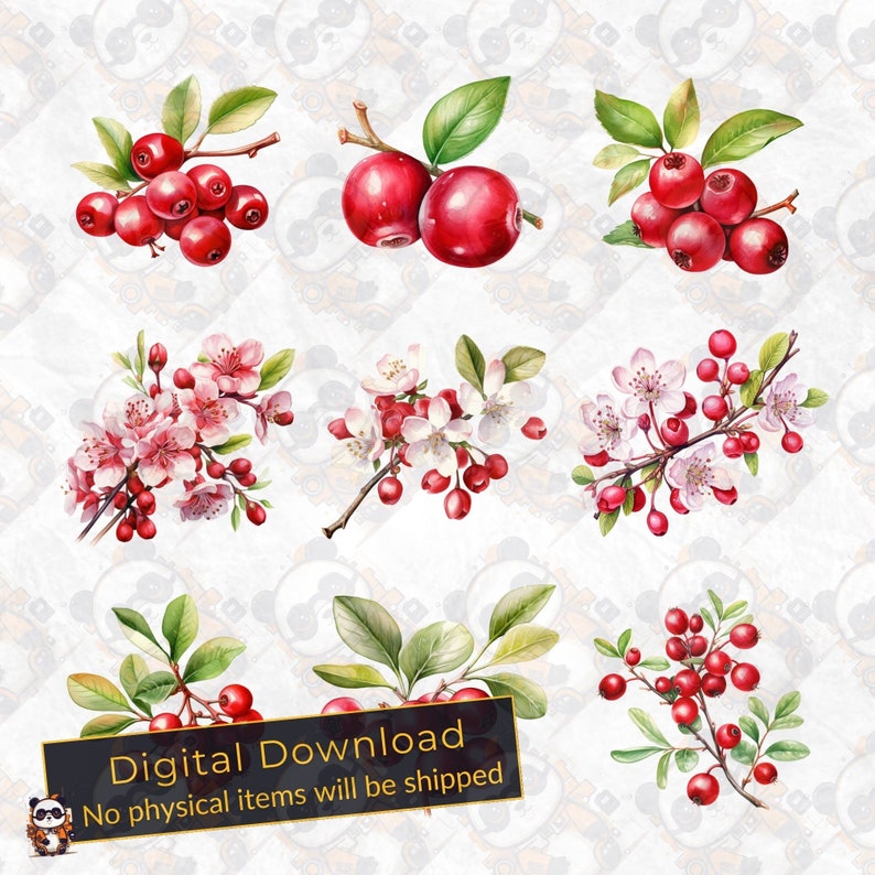 Watercolor Cranberry Clipart - Clipart Bundle of Cranberries ...