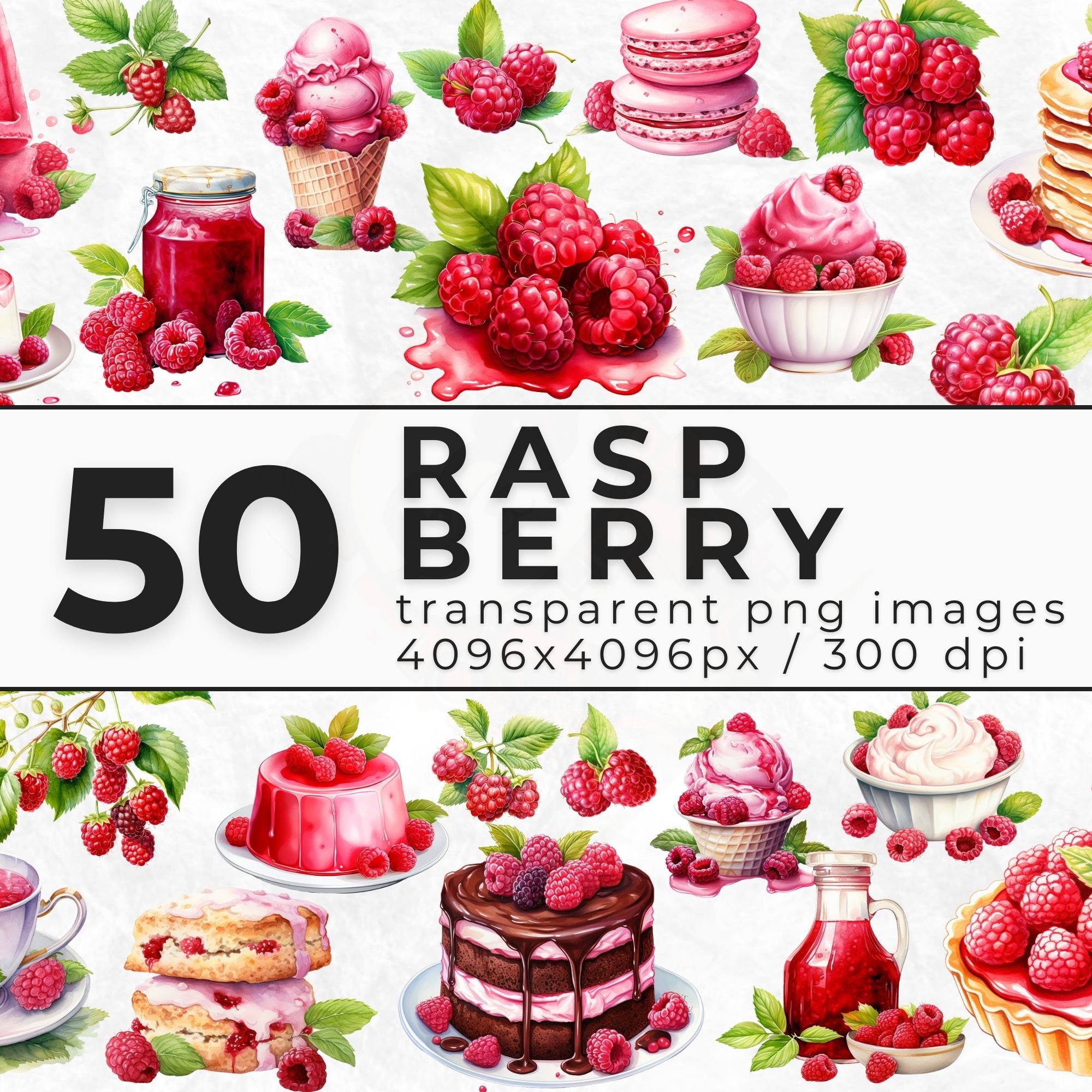 Watercolor Raspberry Clipart Clipart Bundle of Raspberries Raspberry ...