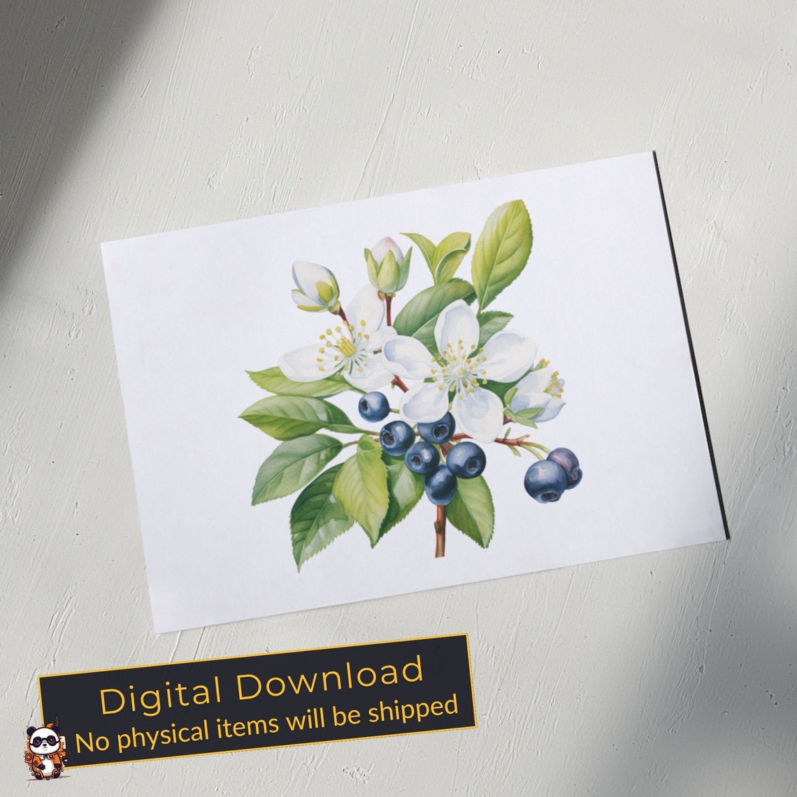 Watercolor Huckleberry Clipart Clipart Bundle of Huckleberries ...