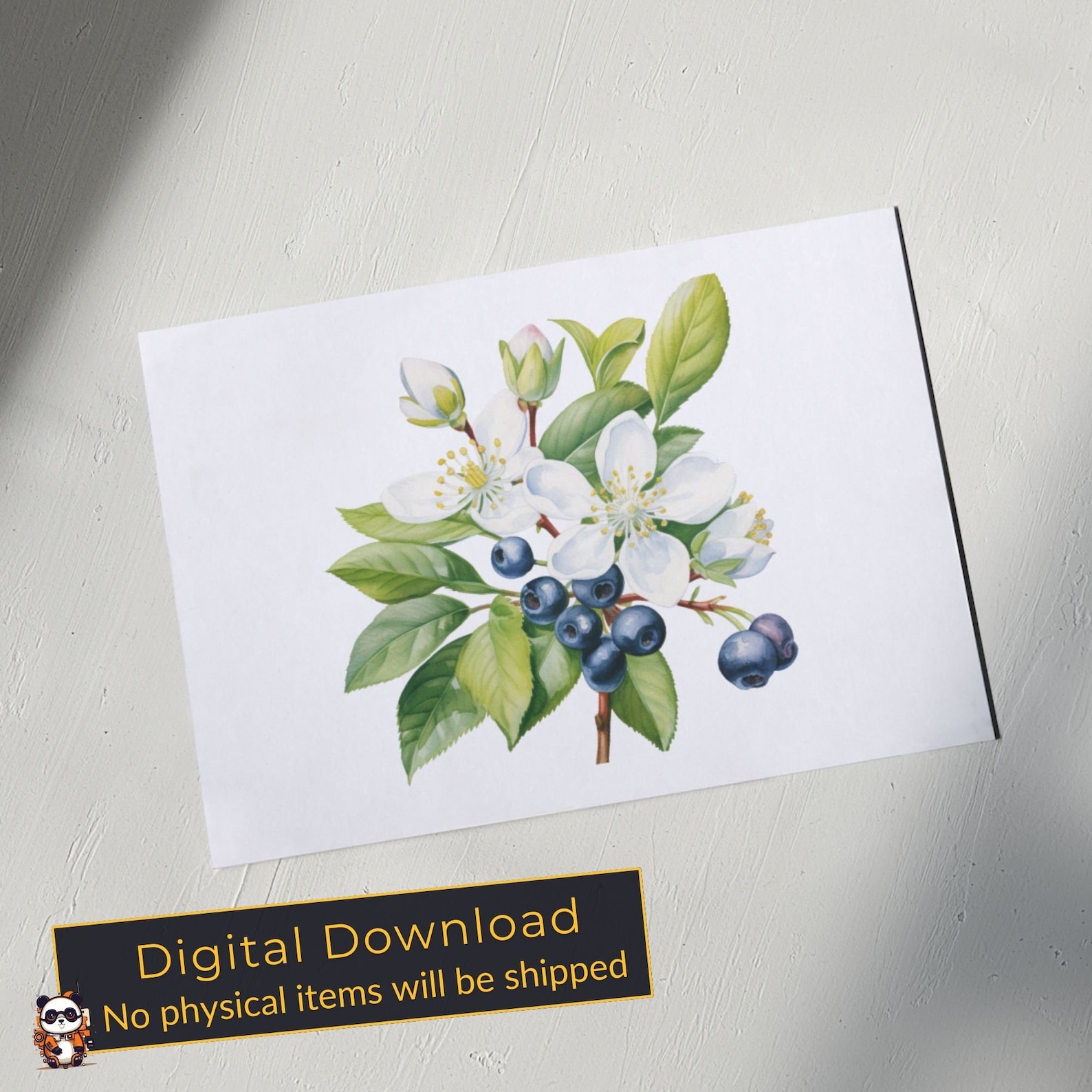 Watercolor Huckleberry Clipart Clipart Bundle of Huckleberries Huckleberry PNG for Digital ...