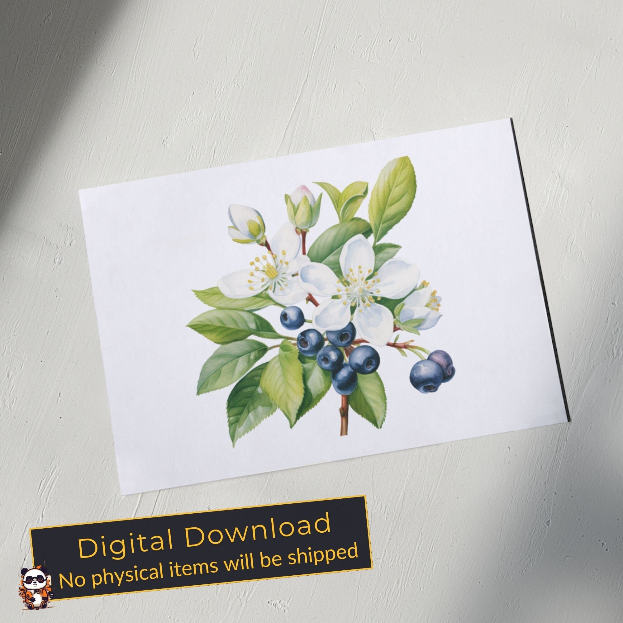 Watercolor Huckleberry Clipart Clipart Bundle of Huckleberries ...