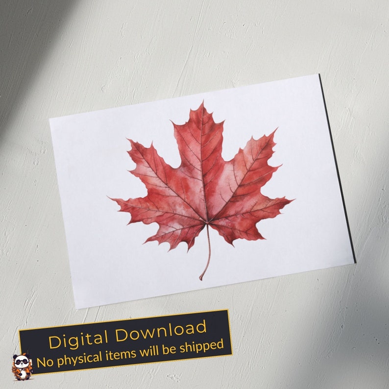 Watercolor Maple Clipart - Clipart Bundle of Maple Trees and Leaves ...