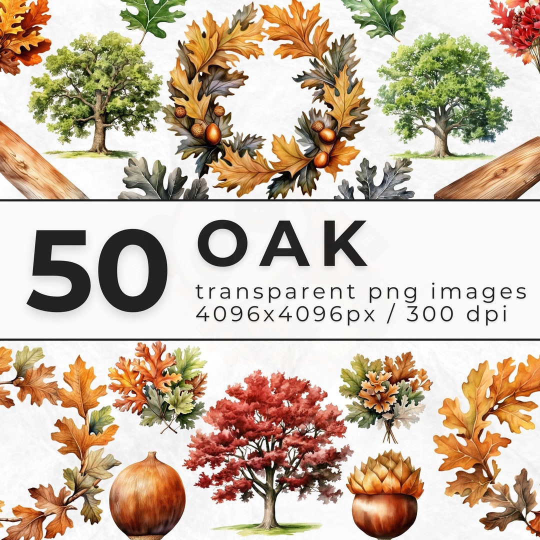 Watercolor Oak Clipart - Clipart Bundle of Oak Trees and Leaves - Oak ...