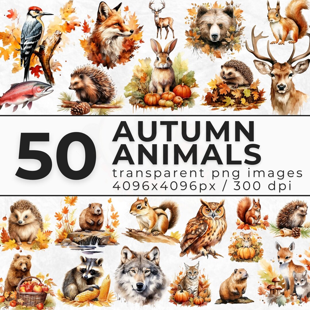 Watercolor Autumn Animals Clipart - Clipart Bundle of Fall Animals ...