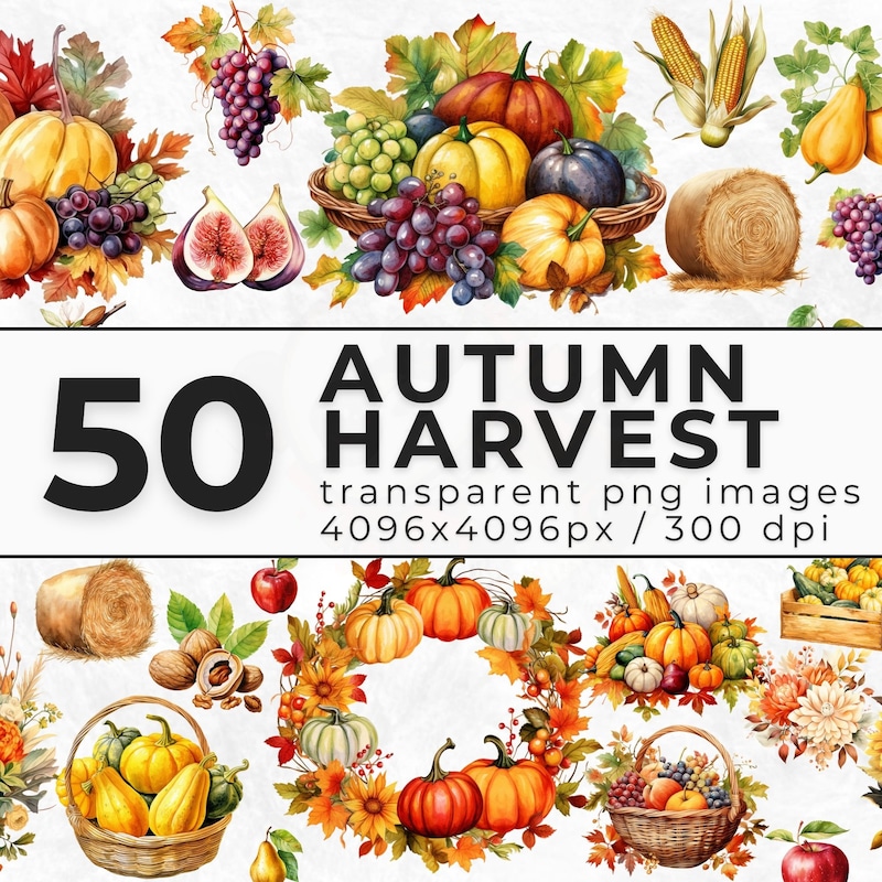 Harvest Decor - Etsy