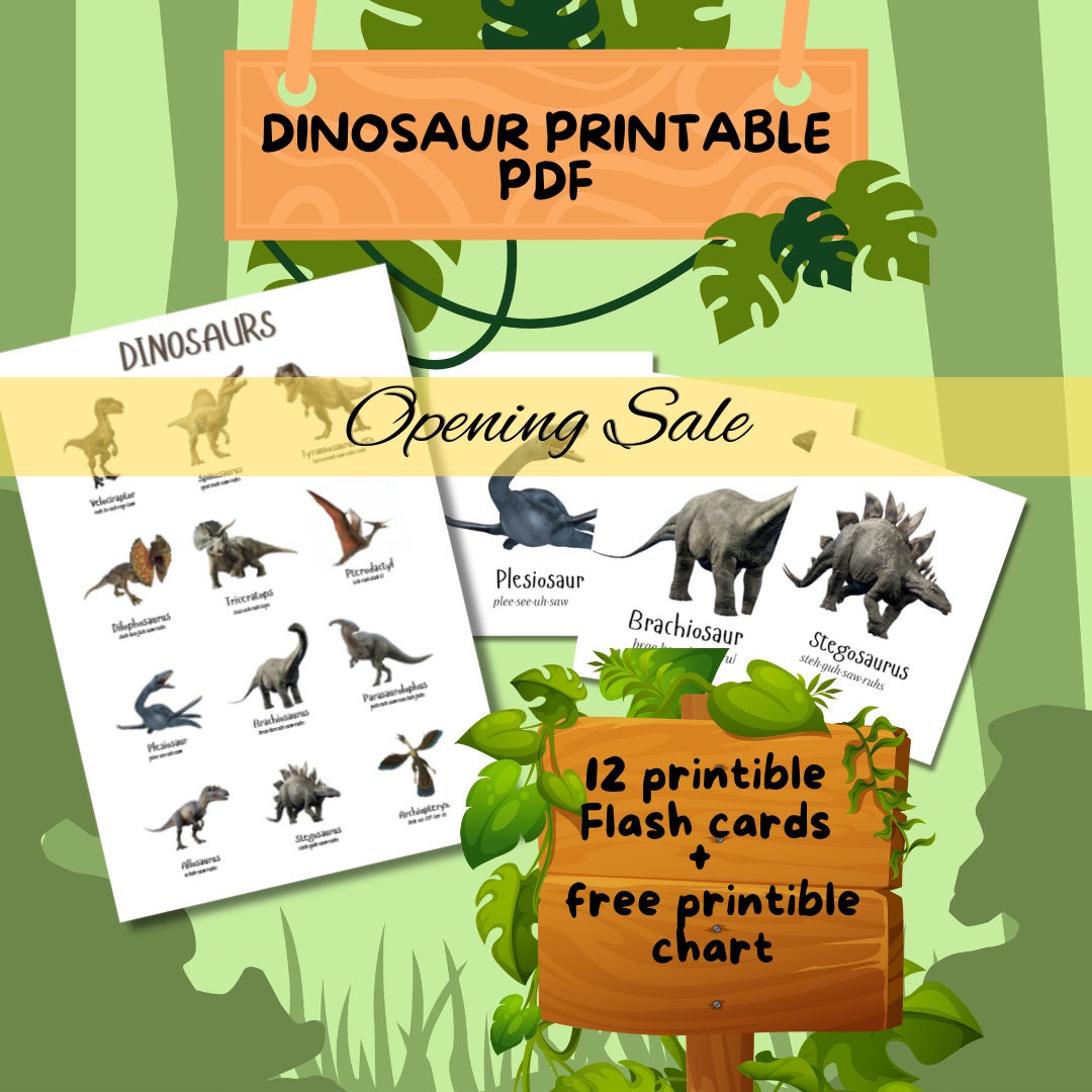 REAL DINOSAURS Flash Cards Plus Free Chart | 12 Flashcards | Montessori ...