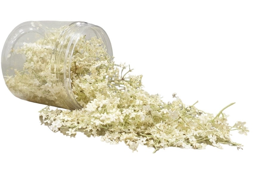 White Edible Flower Foraged in Nature Cake Cupcake Elderflower for ...