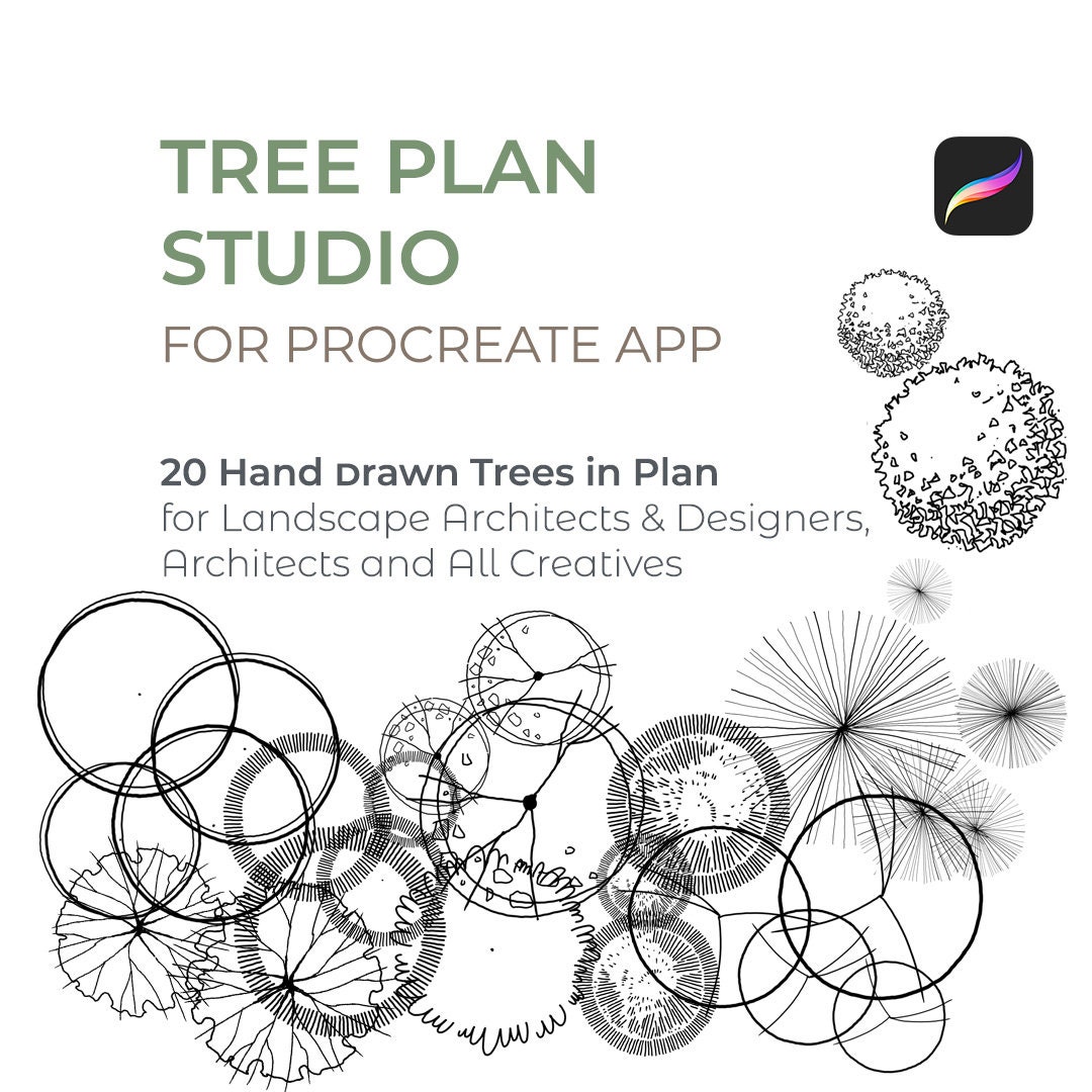 Procreate Brushes Tree Plan Studio for Architectural Line Drawings and ...